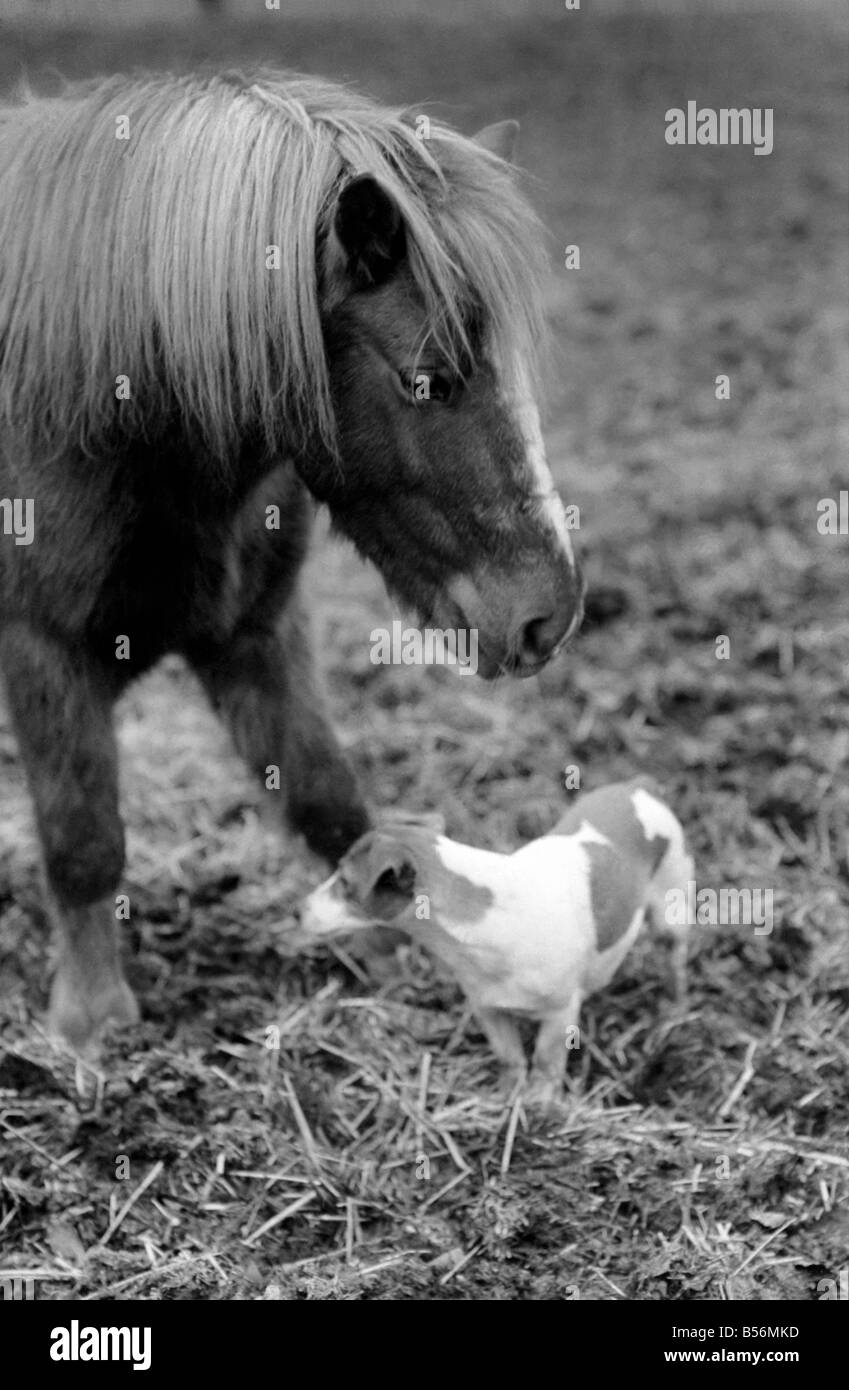 Good breath Black and White Stock Photos & Images - Alamy