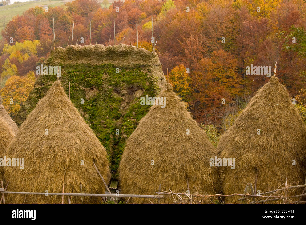 Hay stooks hi-res stock photography and images - Alamy