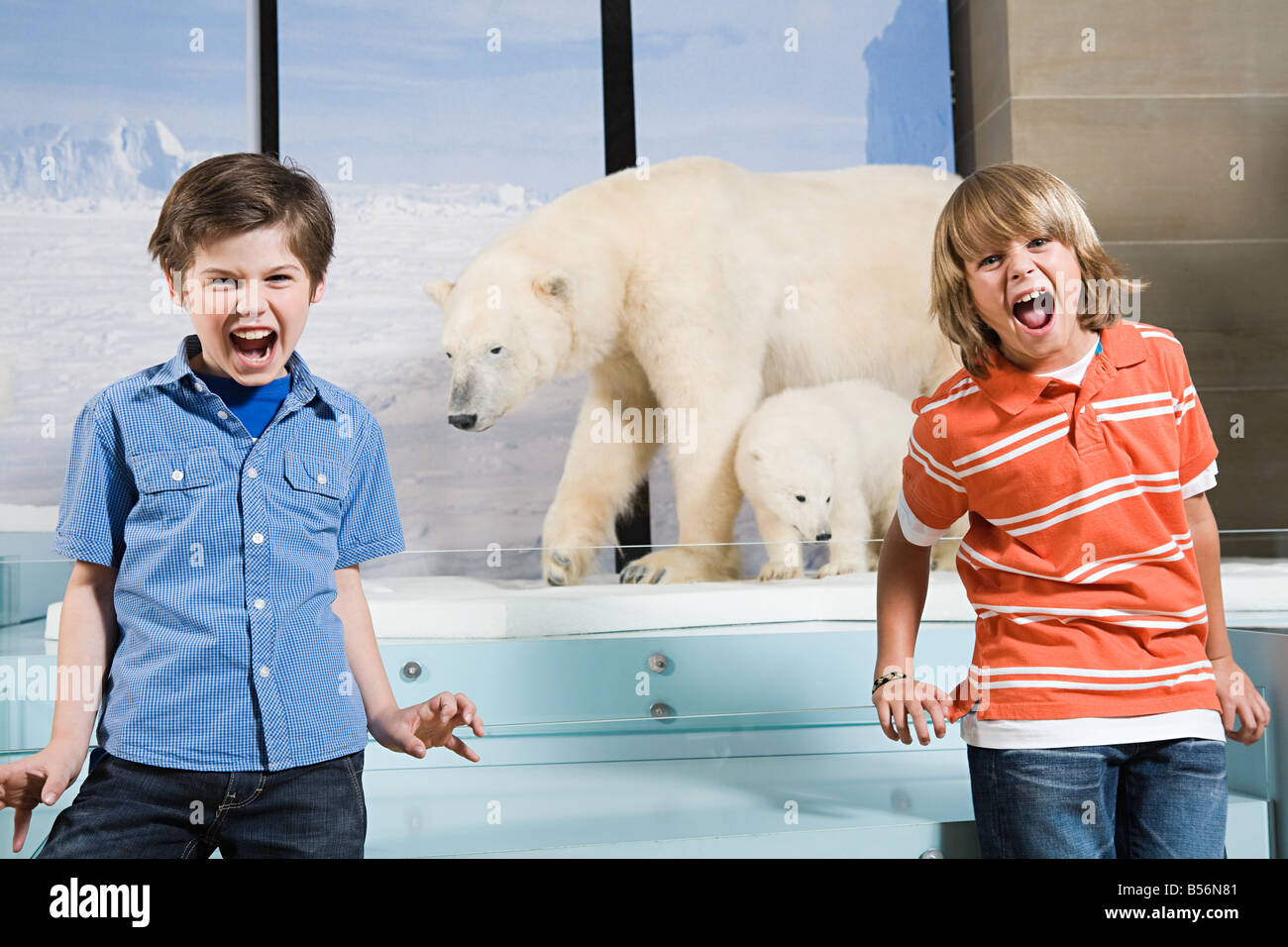 Scared boys screaming at polar bears Stock Photo - Alamy