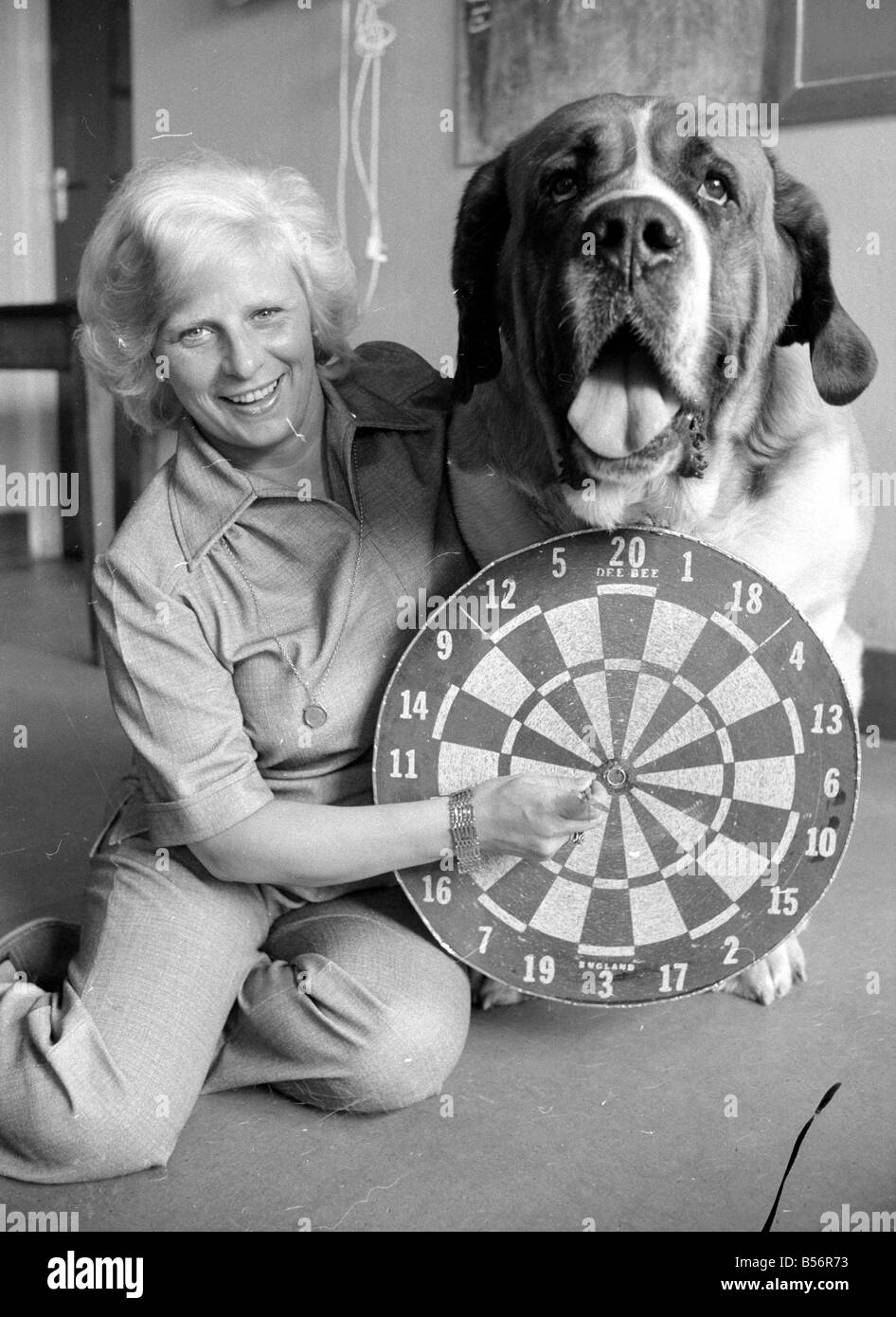 Can I Bring Dog On Dart