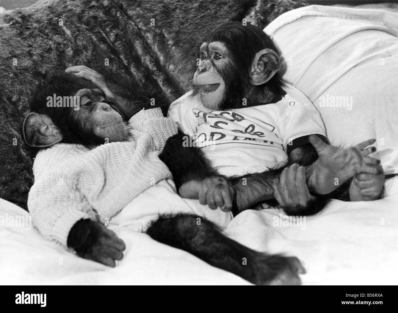 Jethro Black and White Stock Photos & Images - Alamy