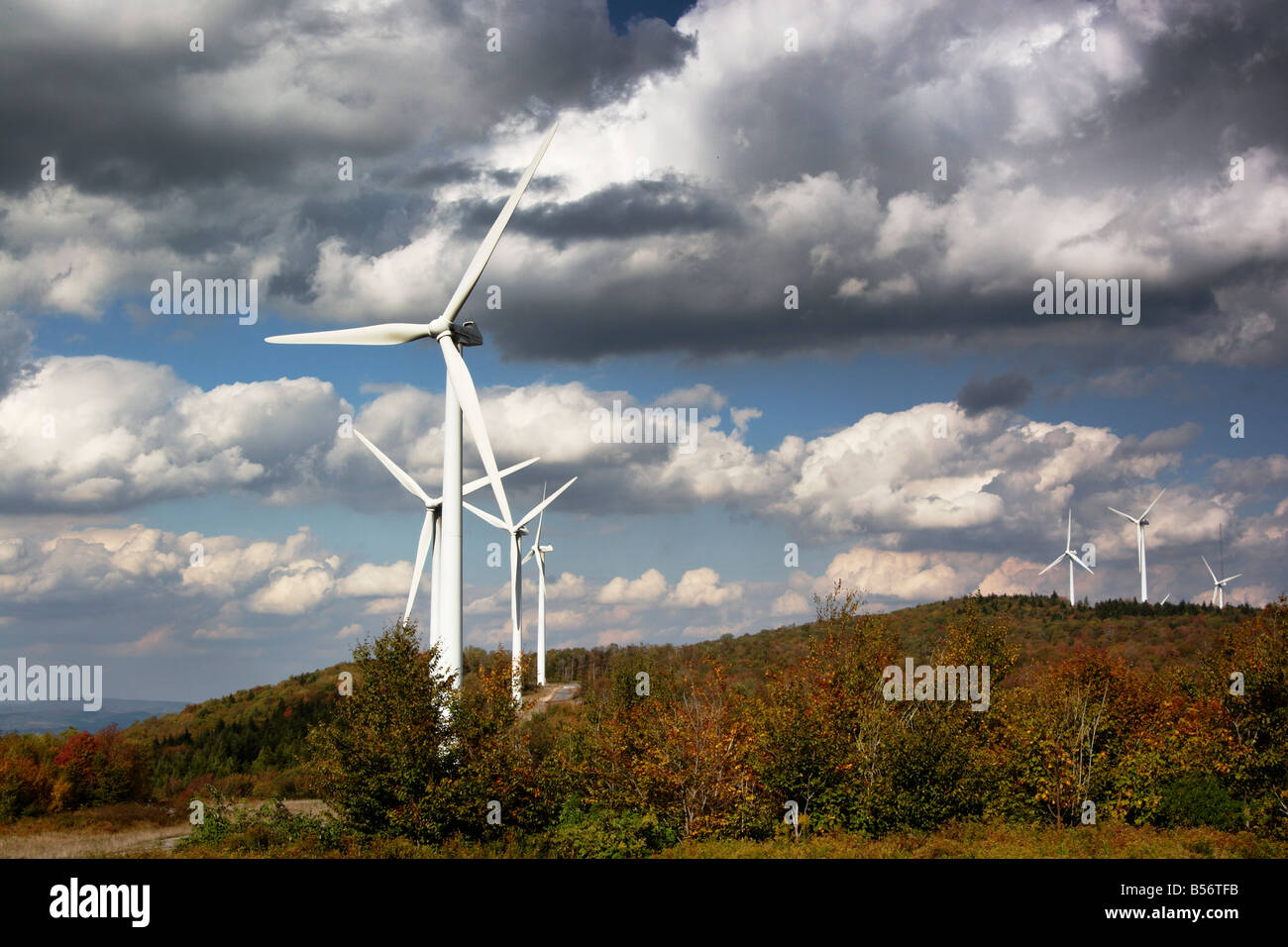 Mountaineer Wind Energy Center wind turbines on Backbone Mountain ...
