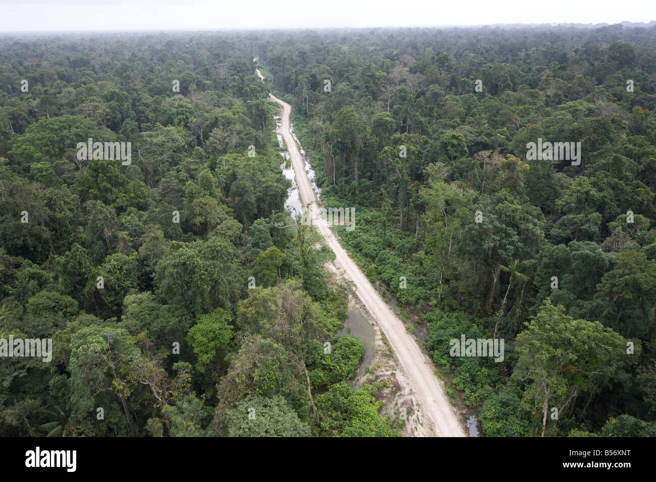 Rainforests make rain hi-res stock photography and images - Alamy