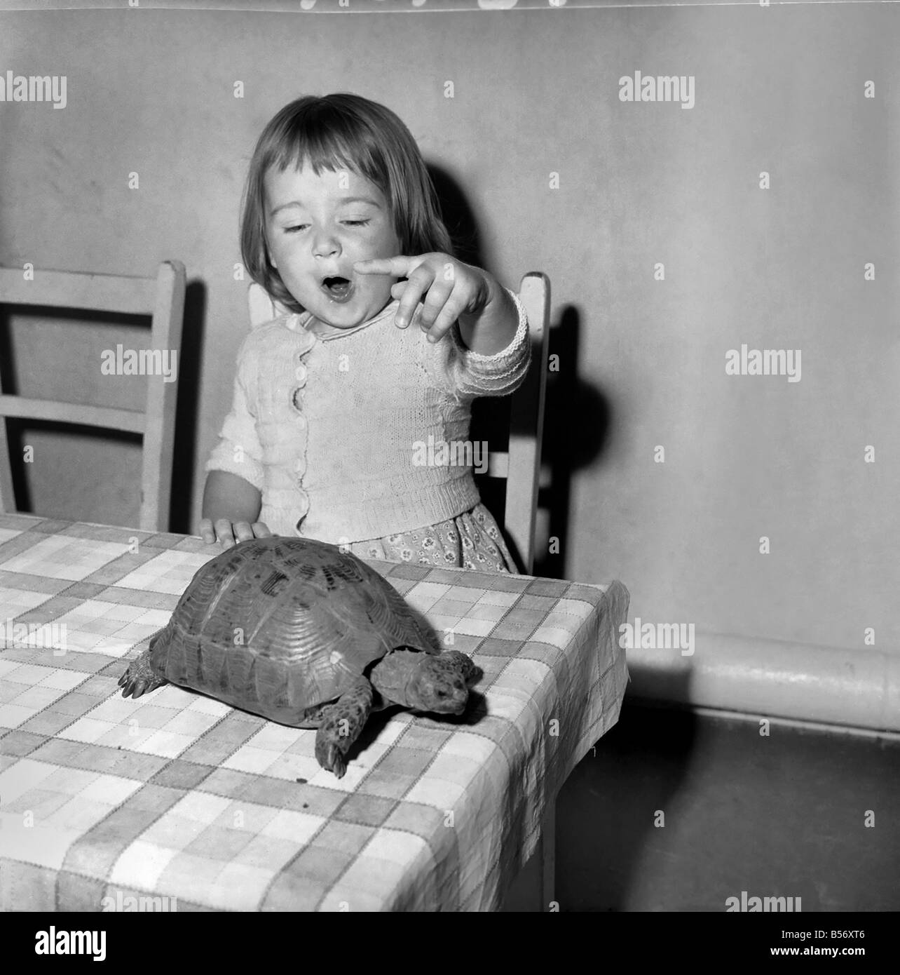 1950s childhood girl hi-res stock photography and images - Alamy
