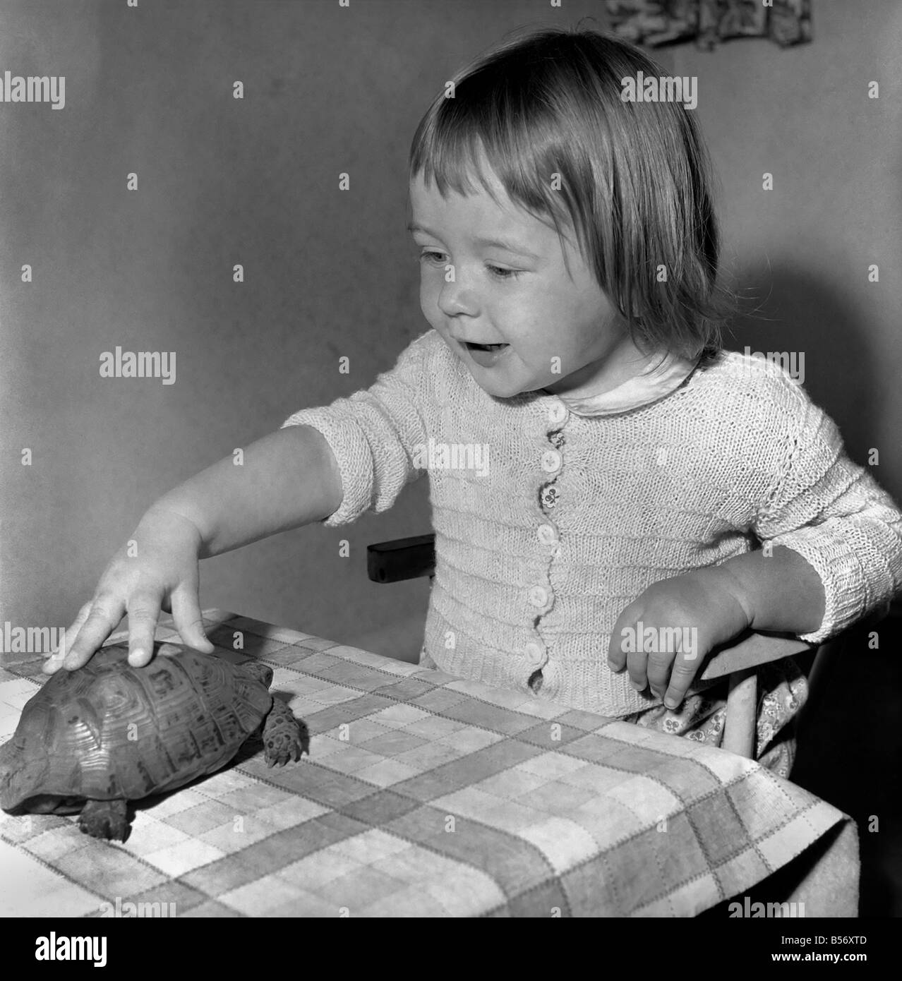 Girl named Rita with her pet tortise, at the Springdale Nursery, Stoke ...