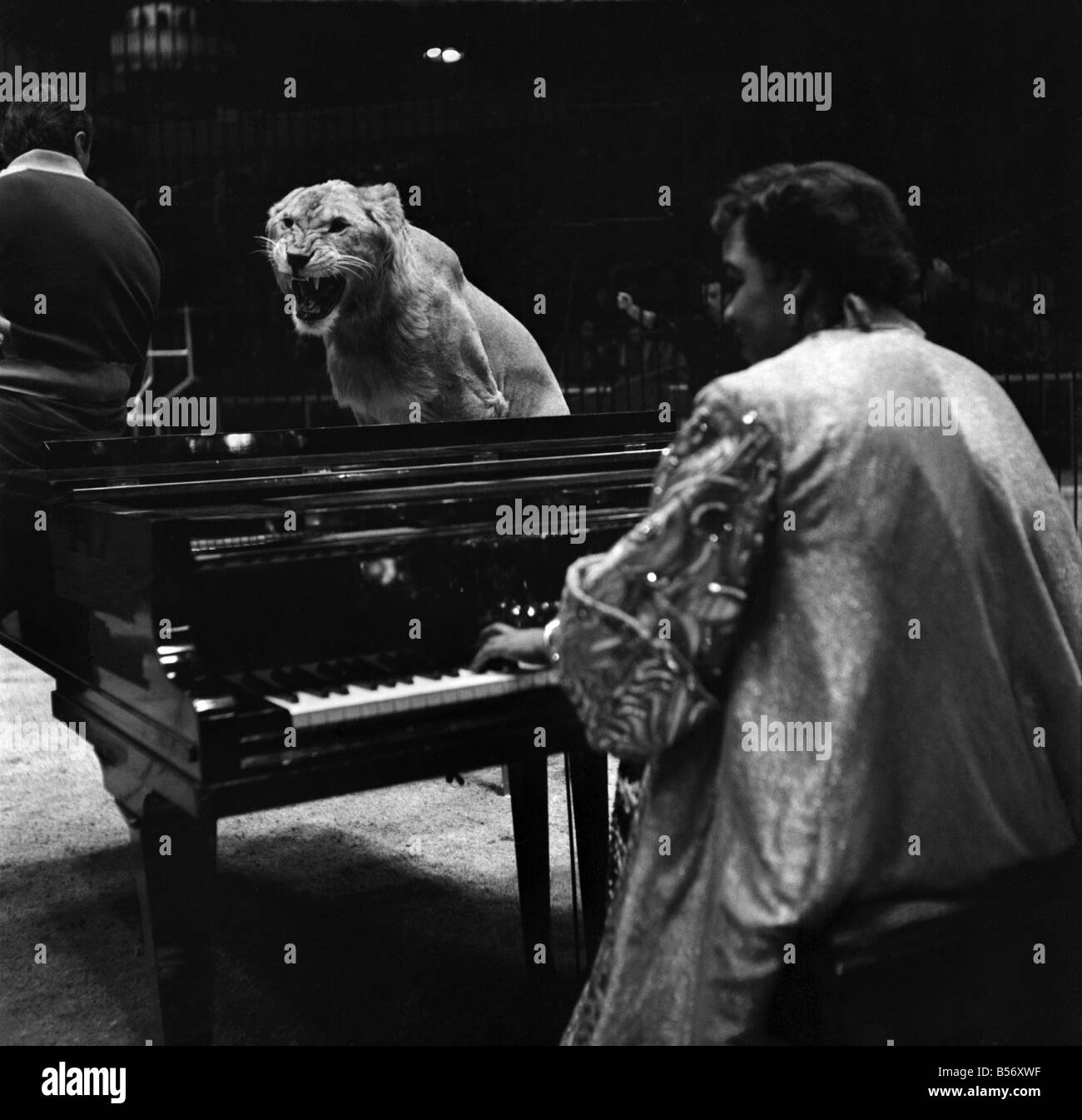 Winifred atwell High Resolution Stock Photography and Images - Alamy