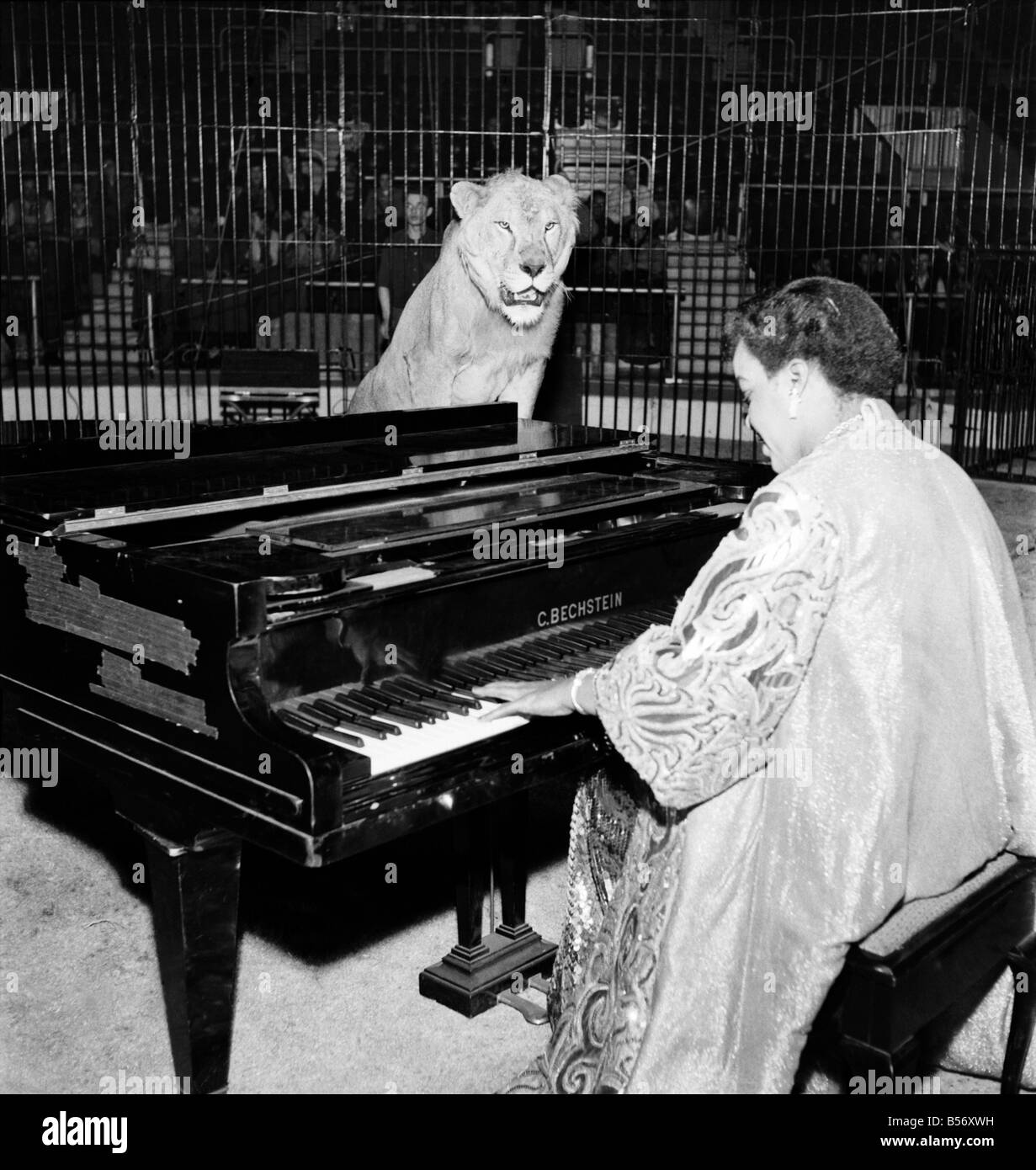 Winifred atwell High Resolution Stock Photography and Images - Alamy