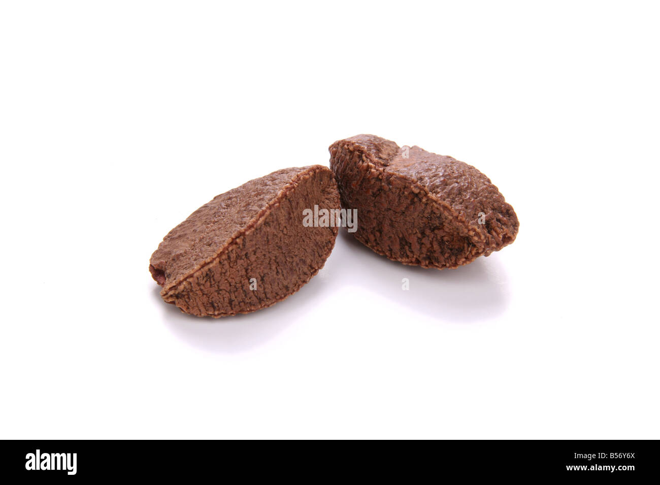 Brazil nuts cut-out Stock Photo - Alamy