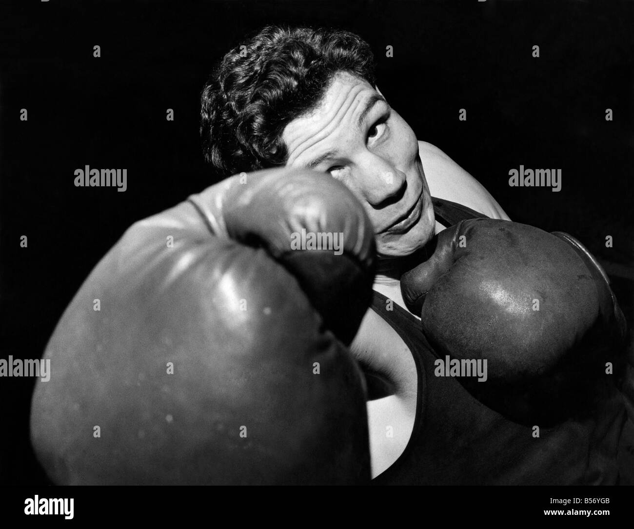 Cliff field boxer hi-res stock photography and images - Alamy