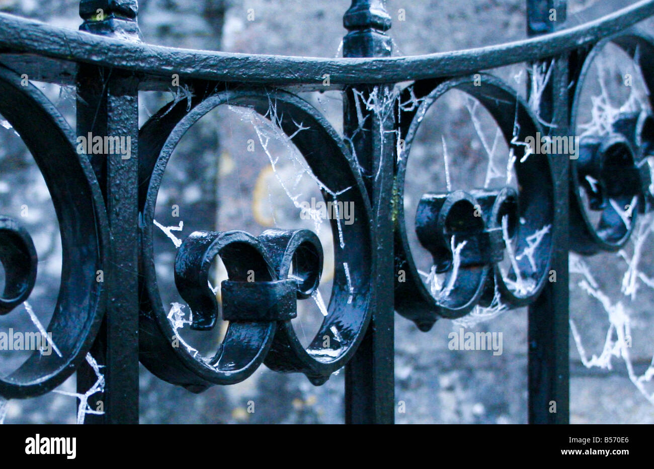 Wrought iron cobweb hi-res stock photography and images - Alamy