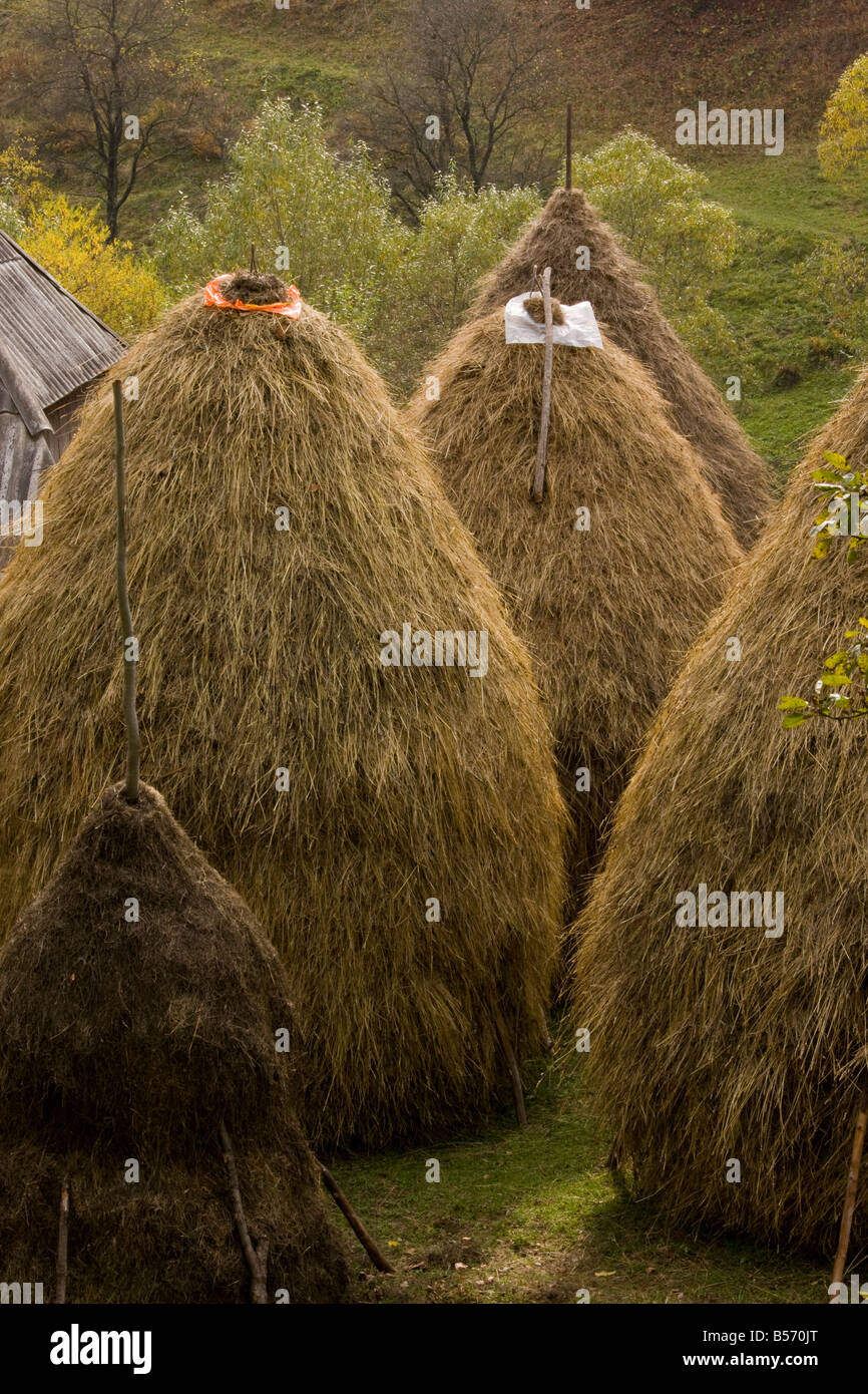 Hay stooks hi-res stock photography and images - Alamy