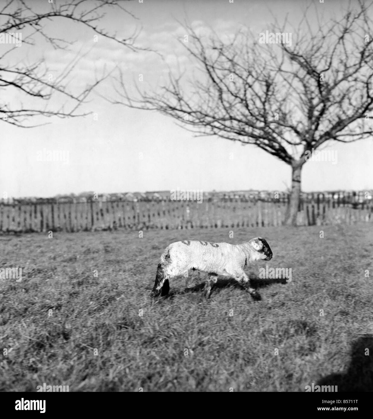 Rural scenes in kent Black and White Stock Photos & Images - Alamy