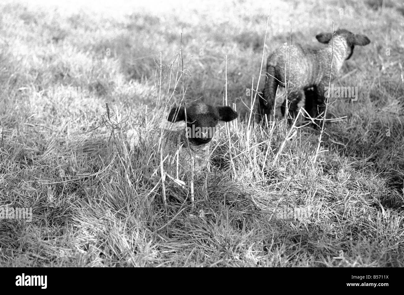 Kent in 1970s Black and White Stock Photos & Images - Alamy