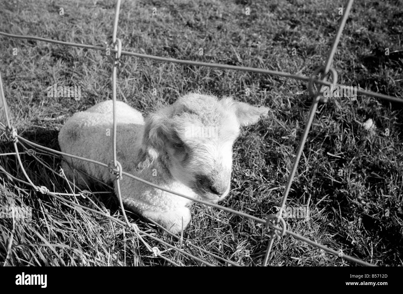 Rural scenes in kent Black and White Stock Photos & Images - Alamy