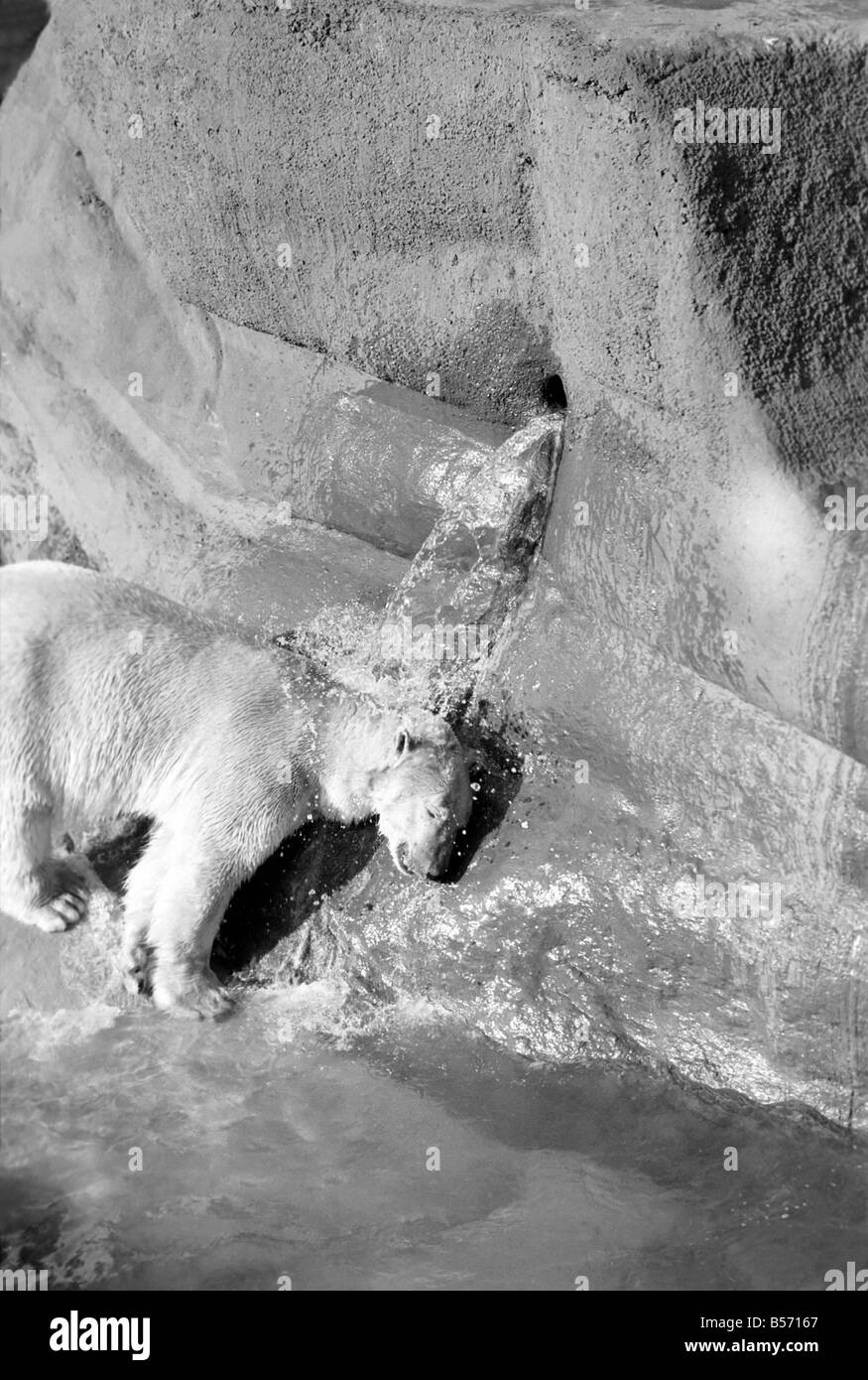 Pipaluk hi-res stock photography and images - Alamy