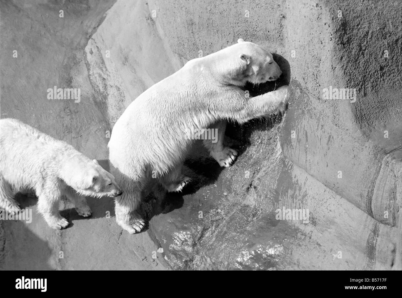 Pipaluk hi-res stock photography and images - Alamy