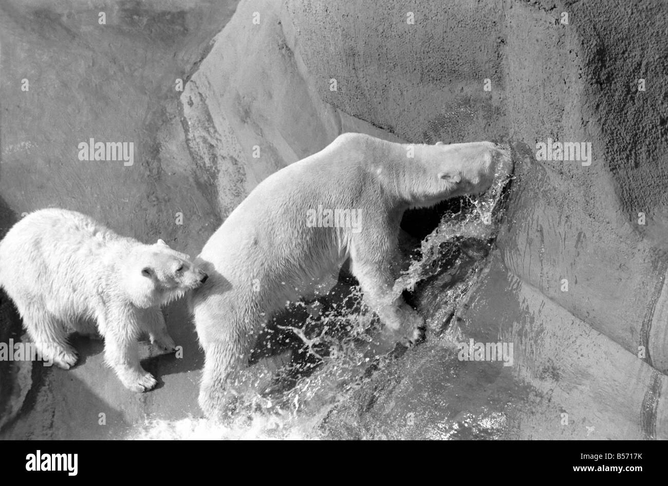 Pipaluk hi-res stock photography and images - Alamy