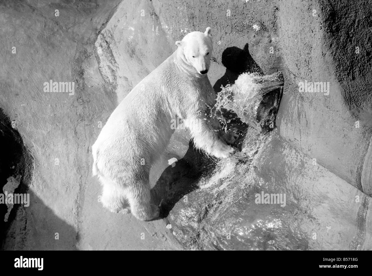 Pipaluk hi-res stock photography and images - Alamy