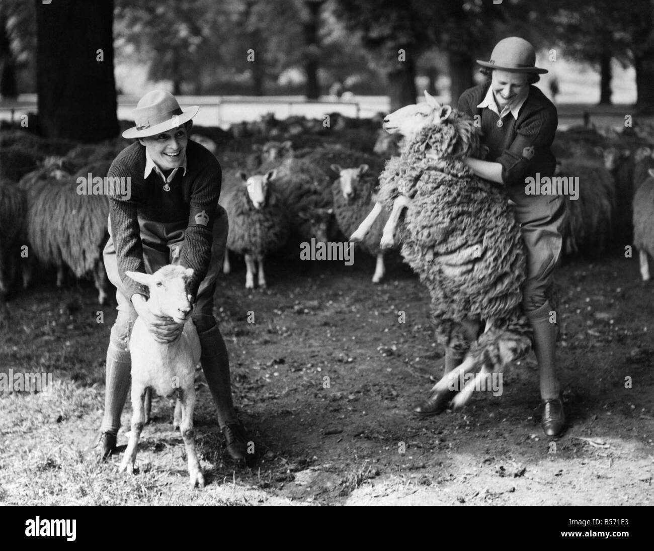 Land Army girls sheep shearing in Hyde Park, London. May 1940 P003947 ...