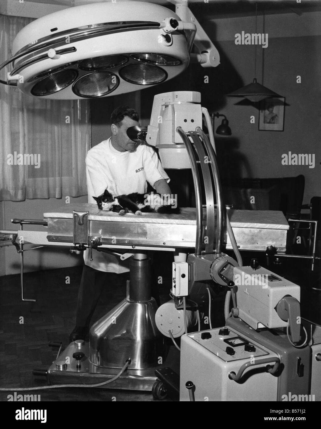 This X ray machine will protect pets from the danger of radiation and ...