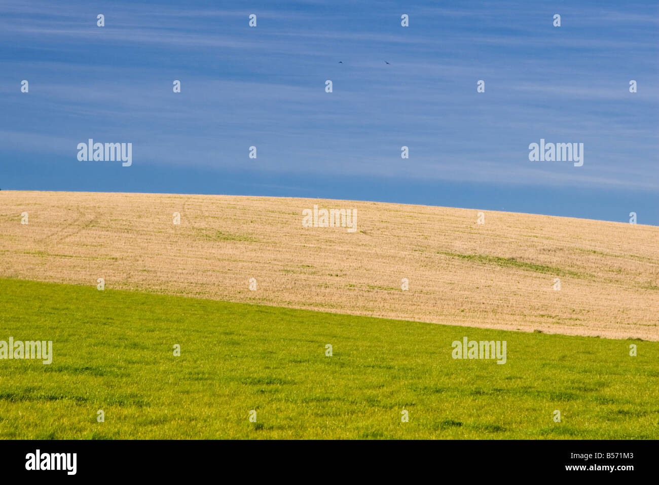 Empty landscape with copyspace hi-res stock photography and images - Alamy