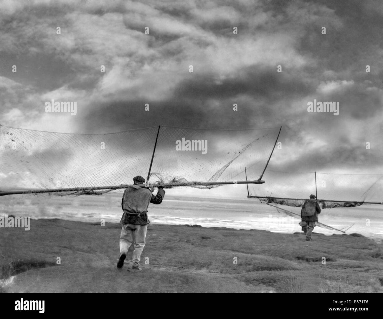 Two salmon Black and White Stock Photos & Images - Alamy