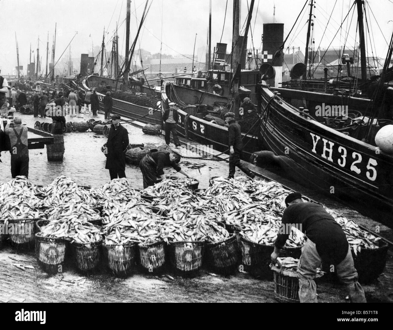 The herring fleet lands its catch at Yarmouth. October 1936 P004153 Stock Photo - Alamy