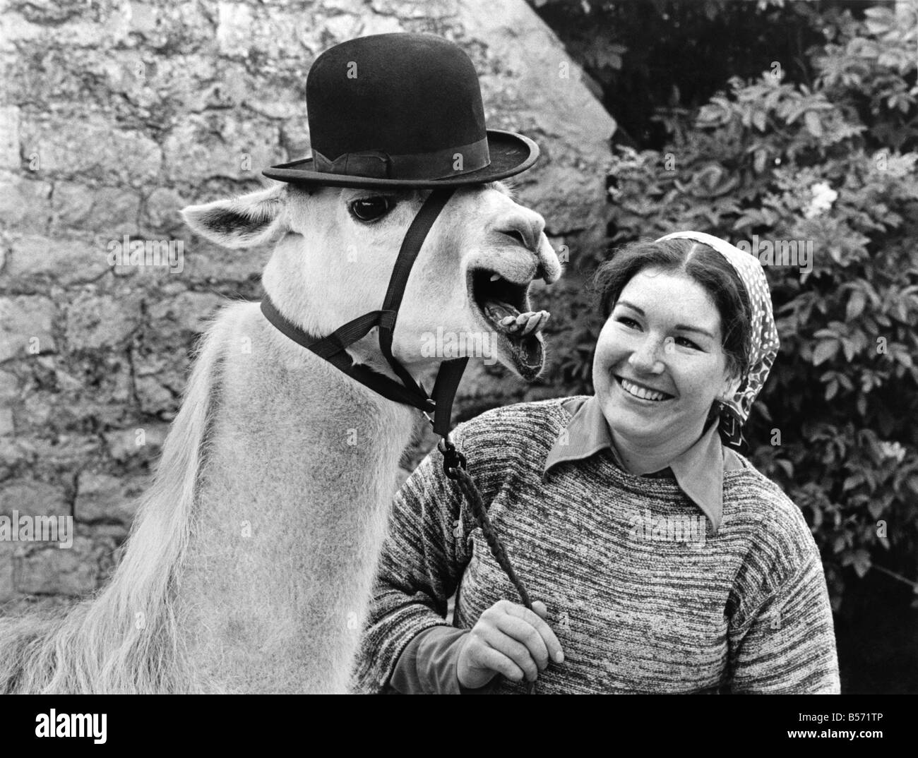 Julie cook hi-res stock photography and images - Alamy