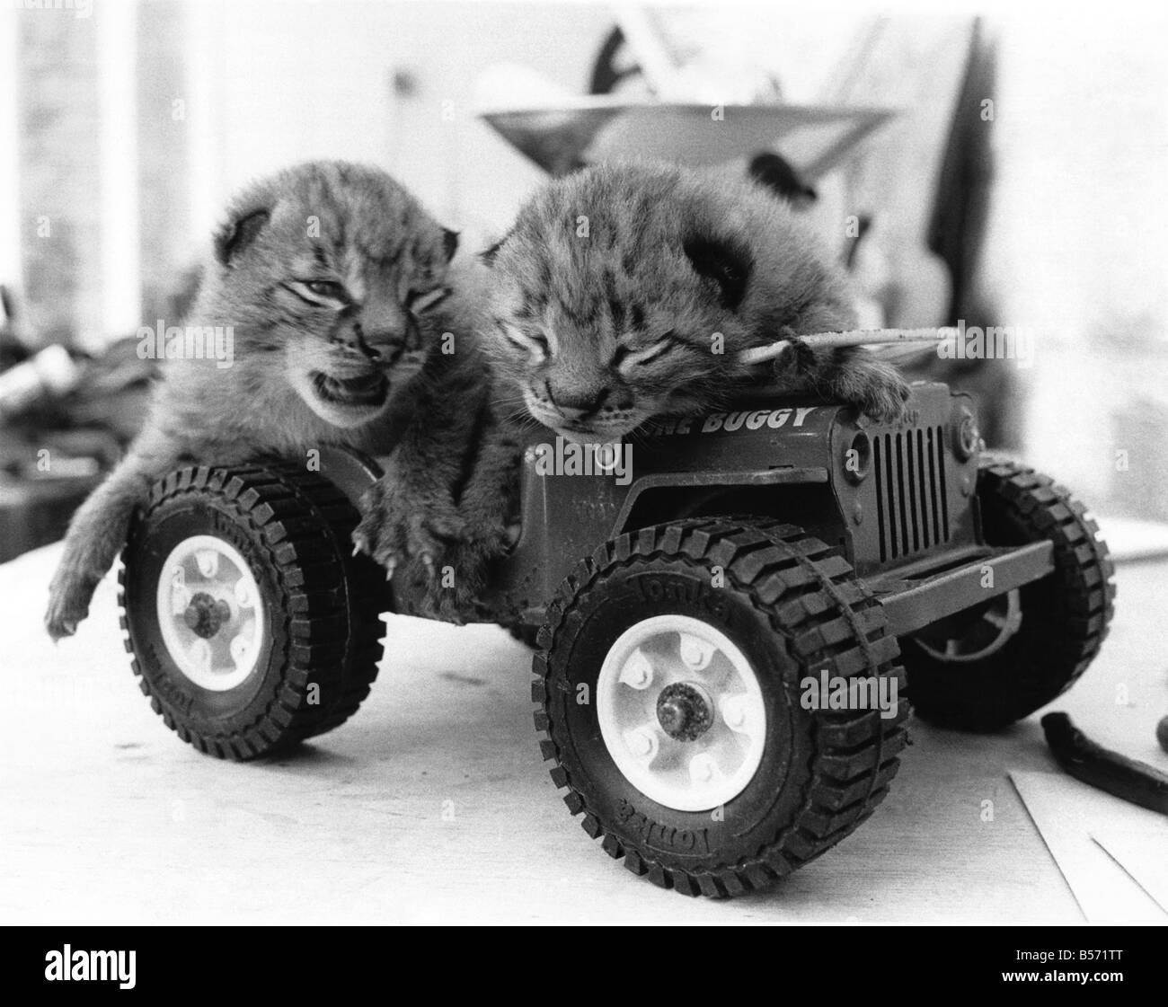 Riber castle hi-res stock photography and images - Alamy