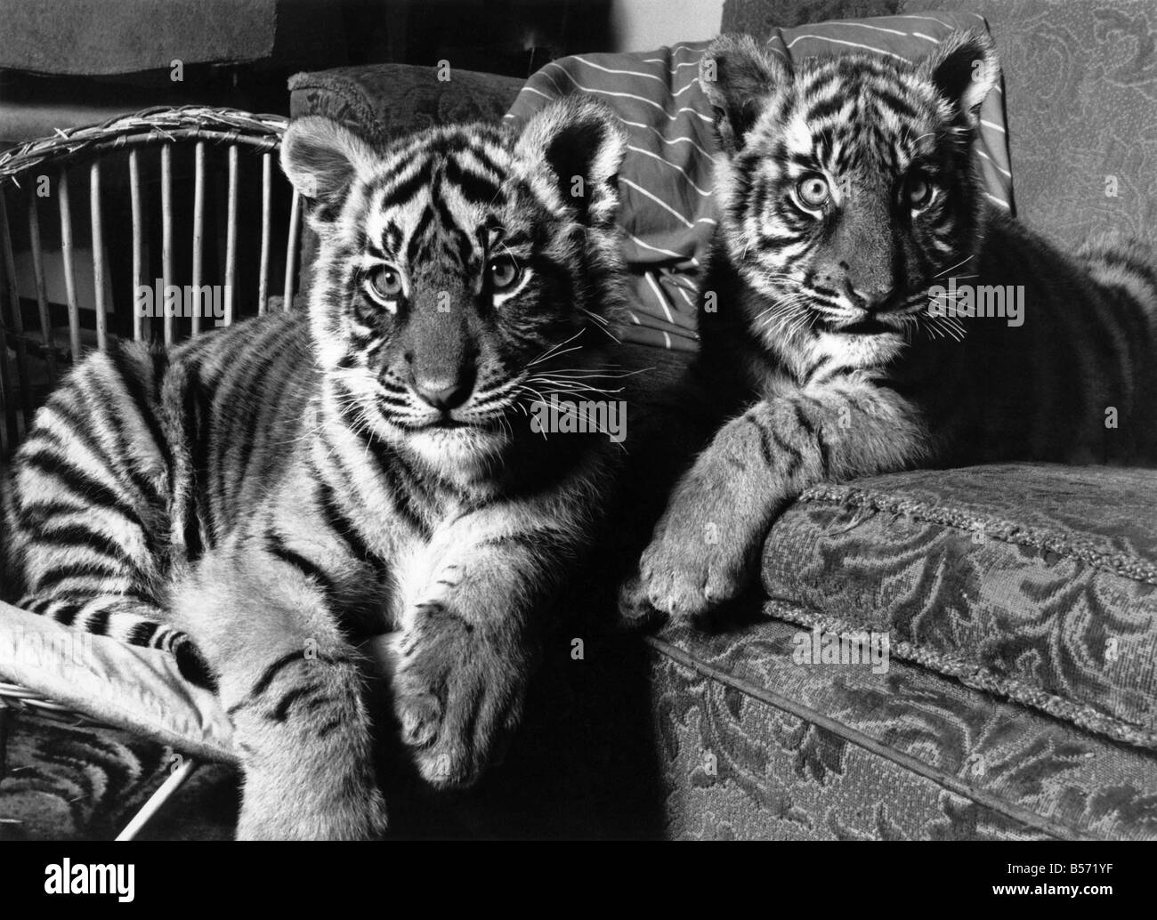 Pindi Black and White Stock Photos & Images - Alamy