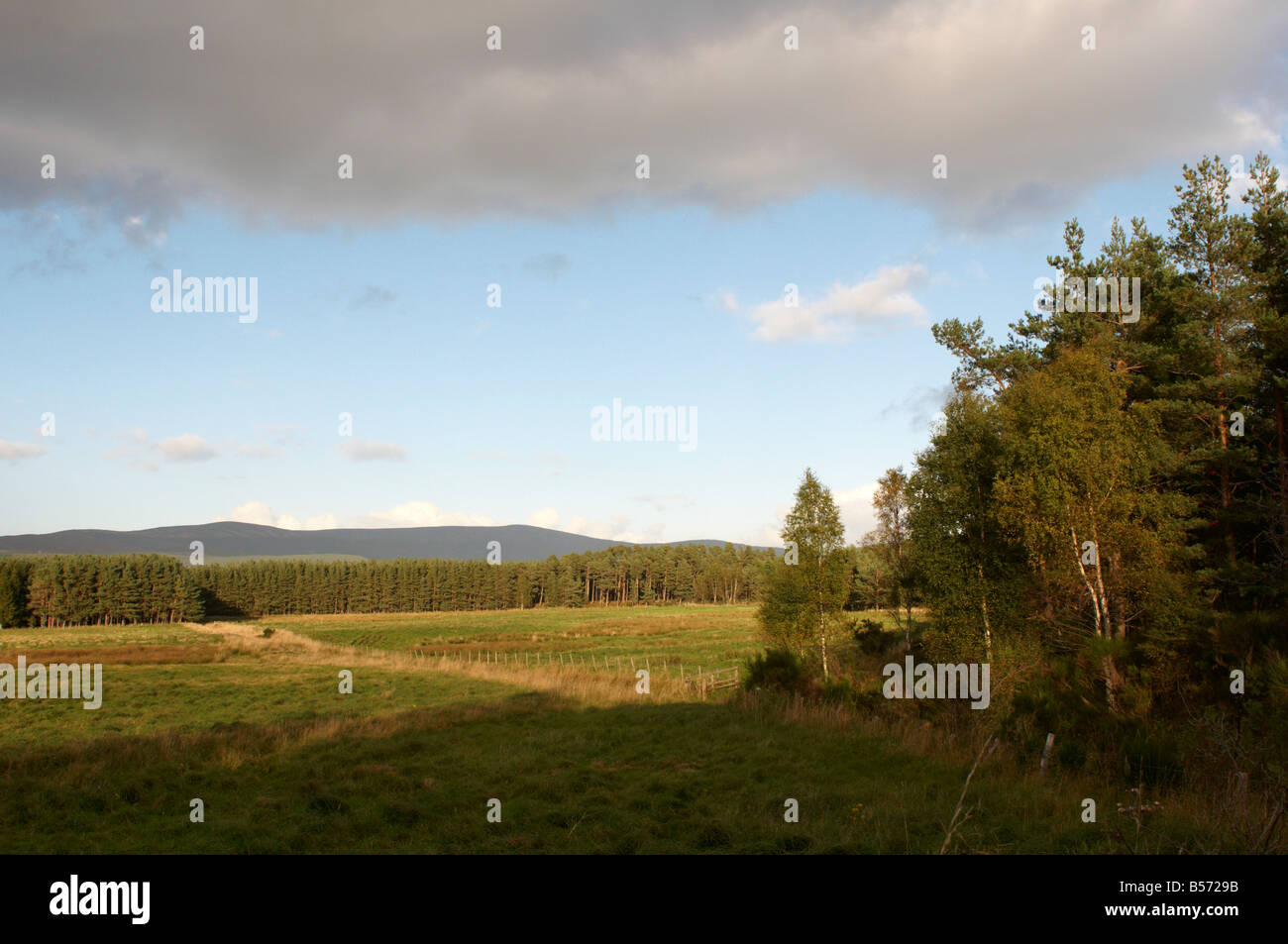 Logie Coldstone on Groddie Road Scotland UK Stock Photo - Alamy