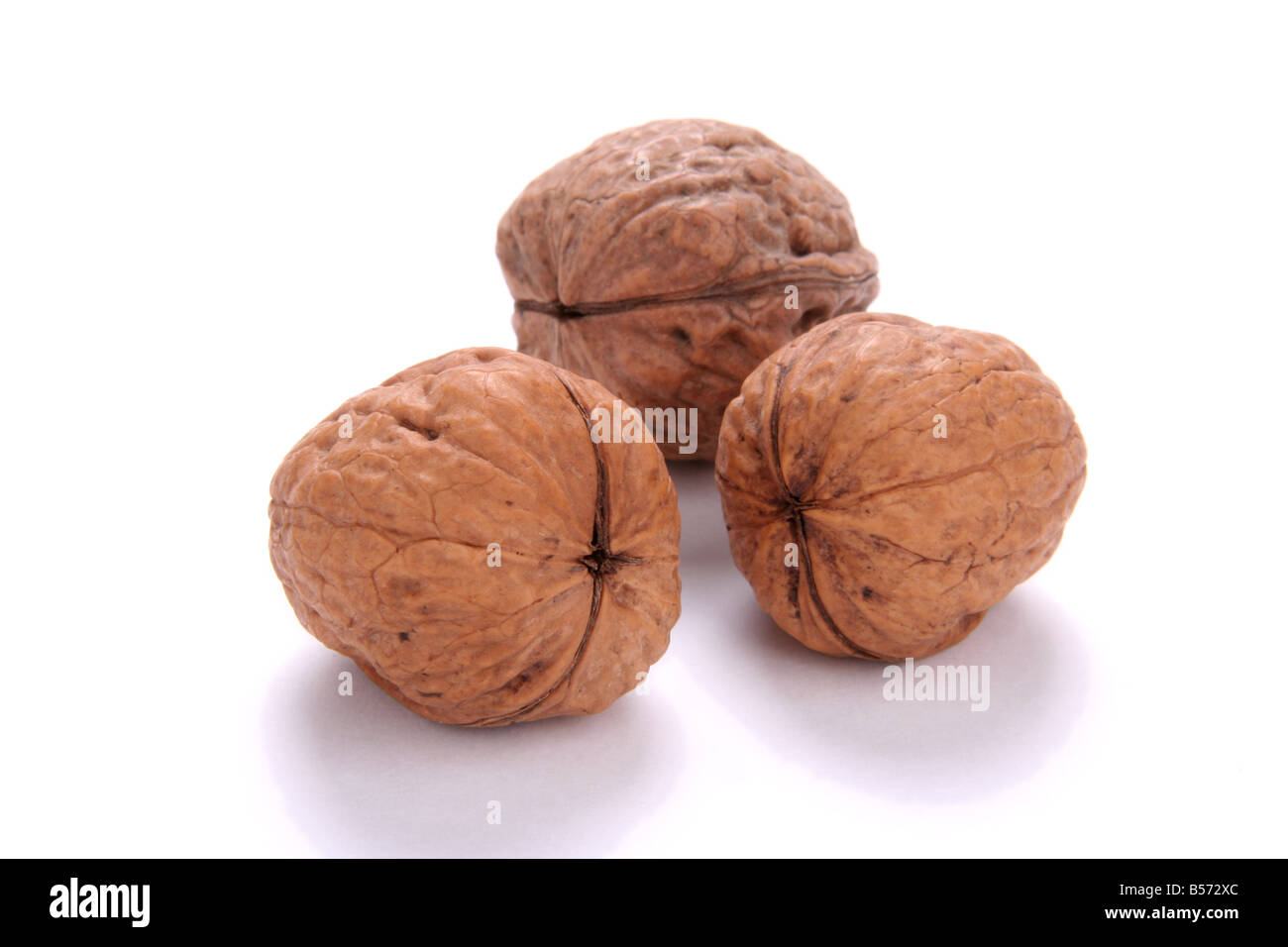 Silohuette Cut Out Stock Images & Pictures - Alamy