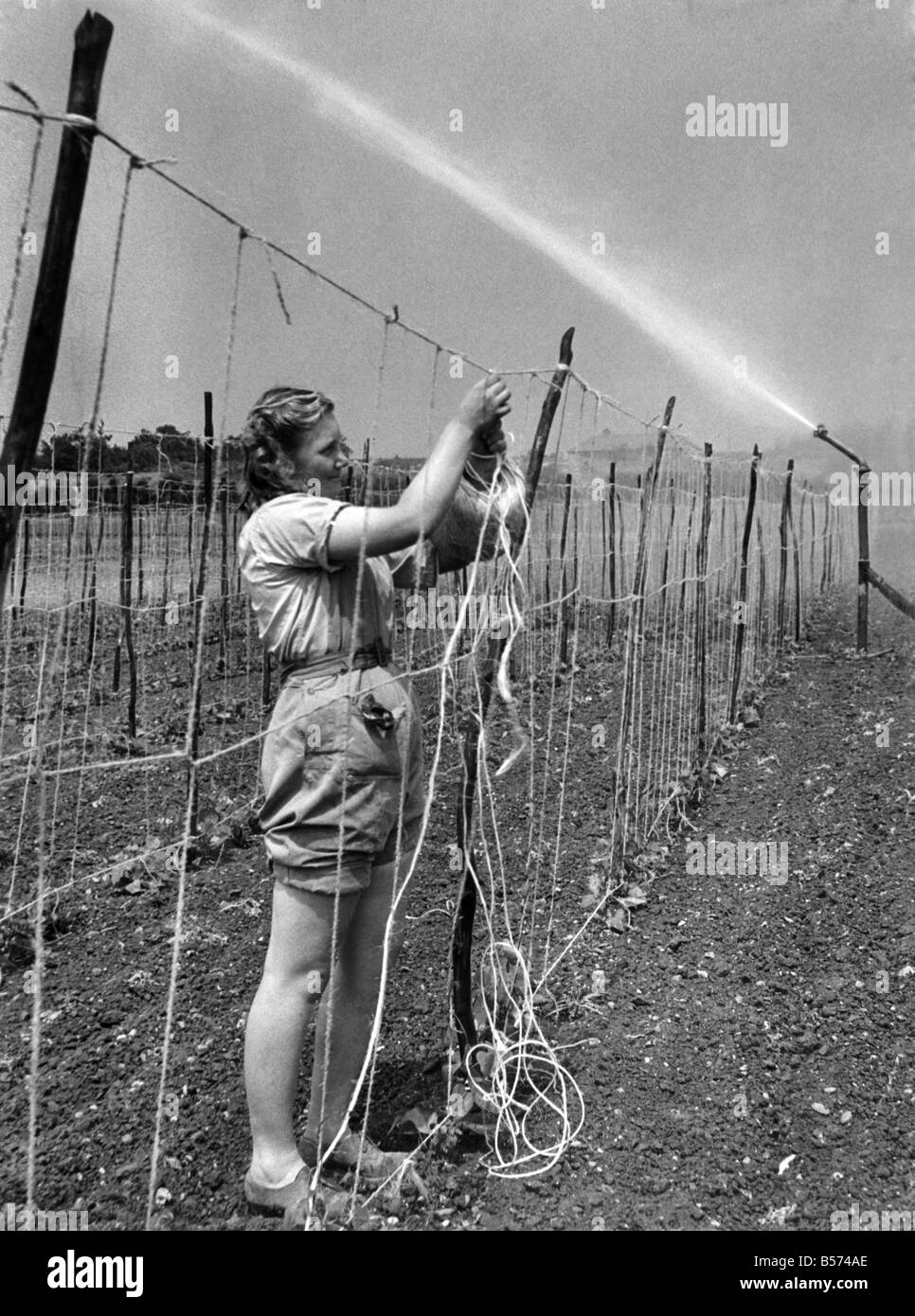 Going under water Black and White Stock Photos & Images - Alamy