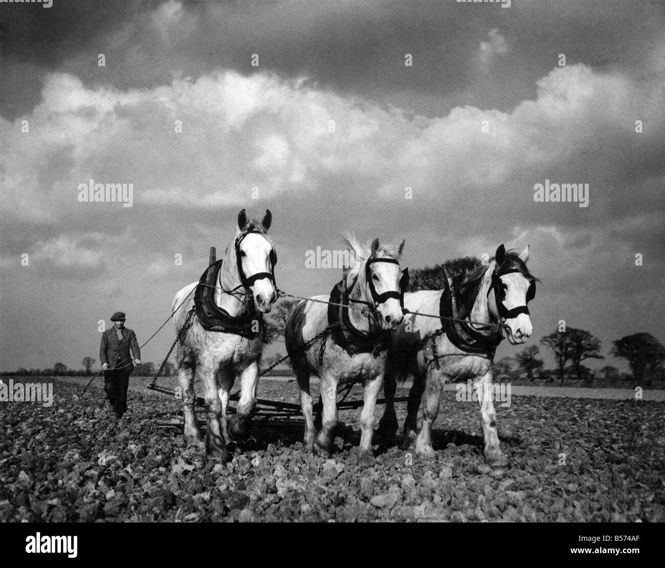 1940s farming norfolk hi-res stock photography and images - Alamy