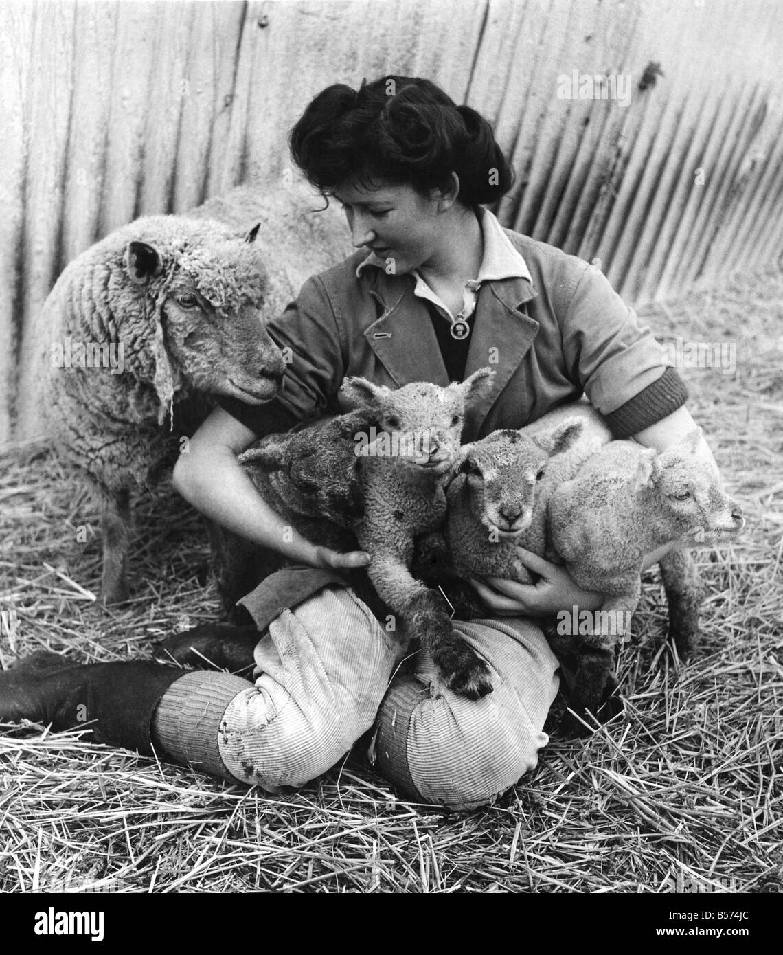 Ovingdean sussex hi-res stock photography and images - Alamy