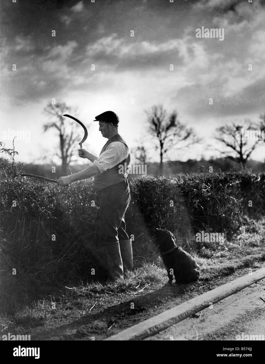 A traditional roadside scene: between Blindley Heath and New Chapel on ...