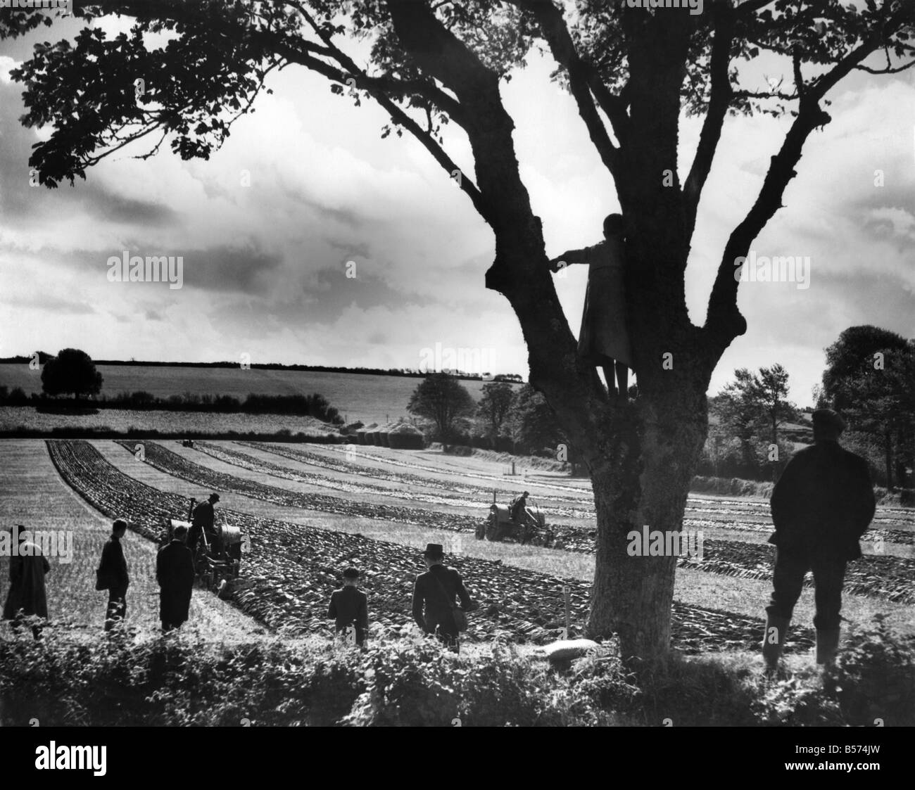 Mid earth Black and White Stock Photos & Images - Alamy