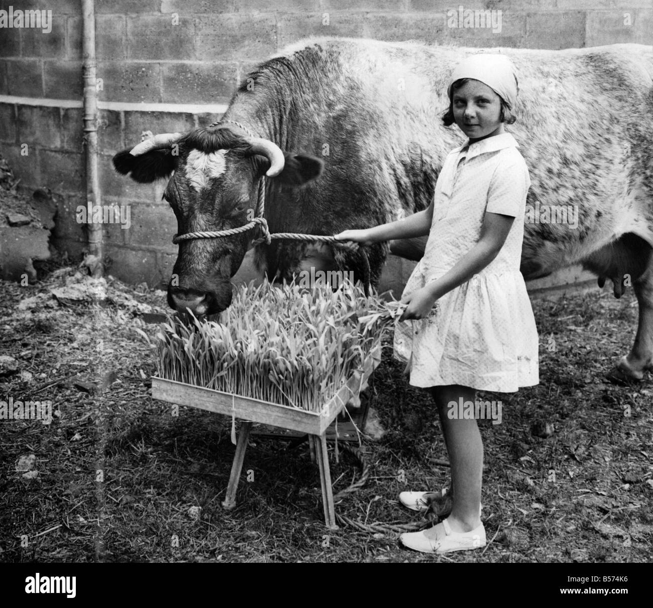 1930s inventor hi-res stock photography and images - Alamy