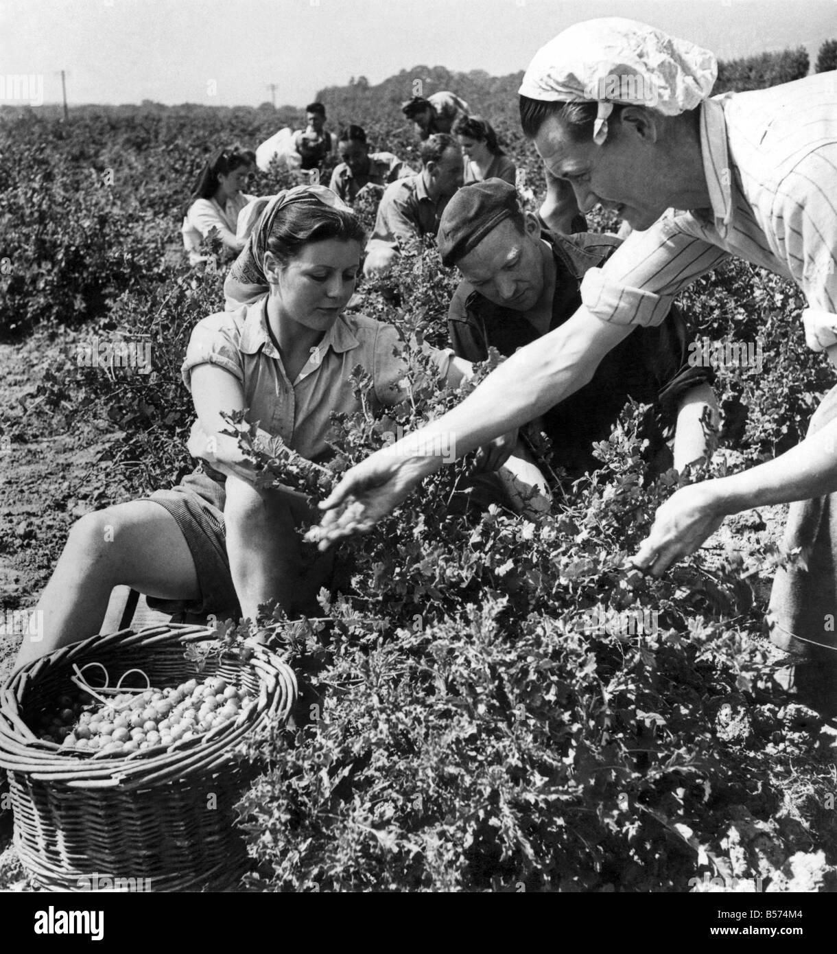 Holiday m Black and White Stock Photos & Images - Alamy