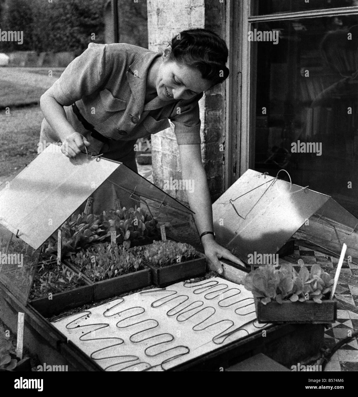 New blooms Black and White Stock Photos & Images - Alamy