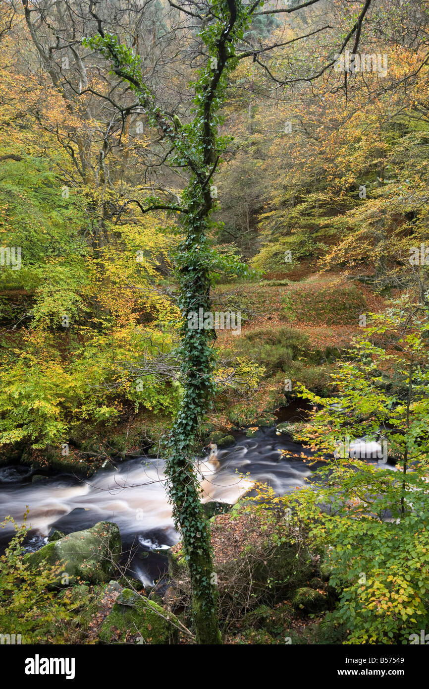 Hebden water running through Hebden Dale near Hebden Bridge Stock Photo ...