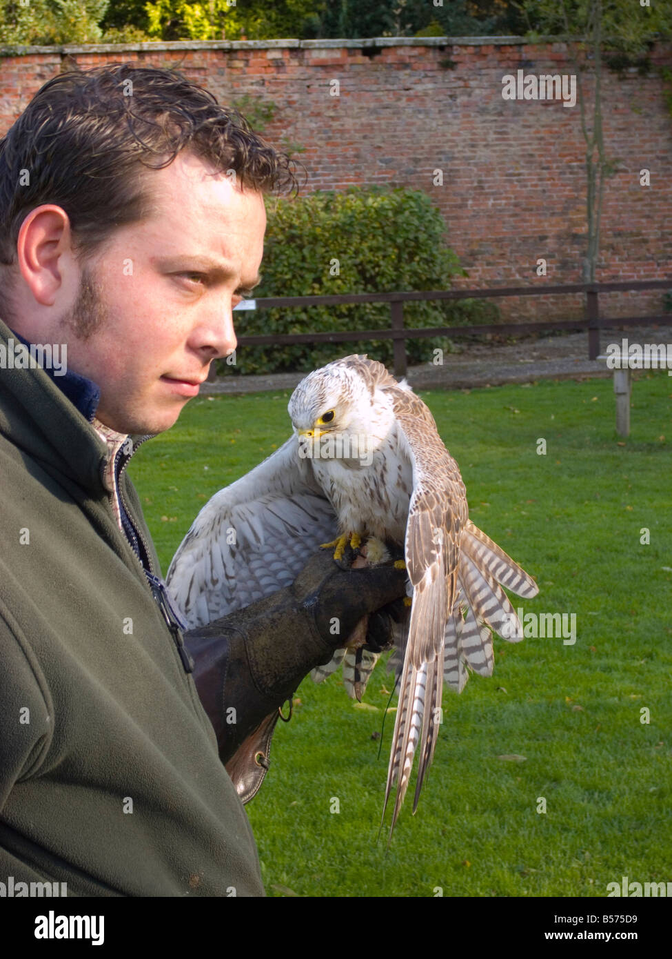 English falconer hi-res stock photography and images - Alamy