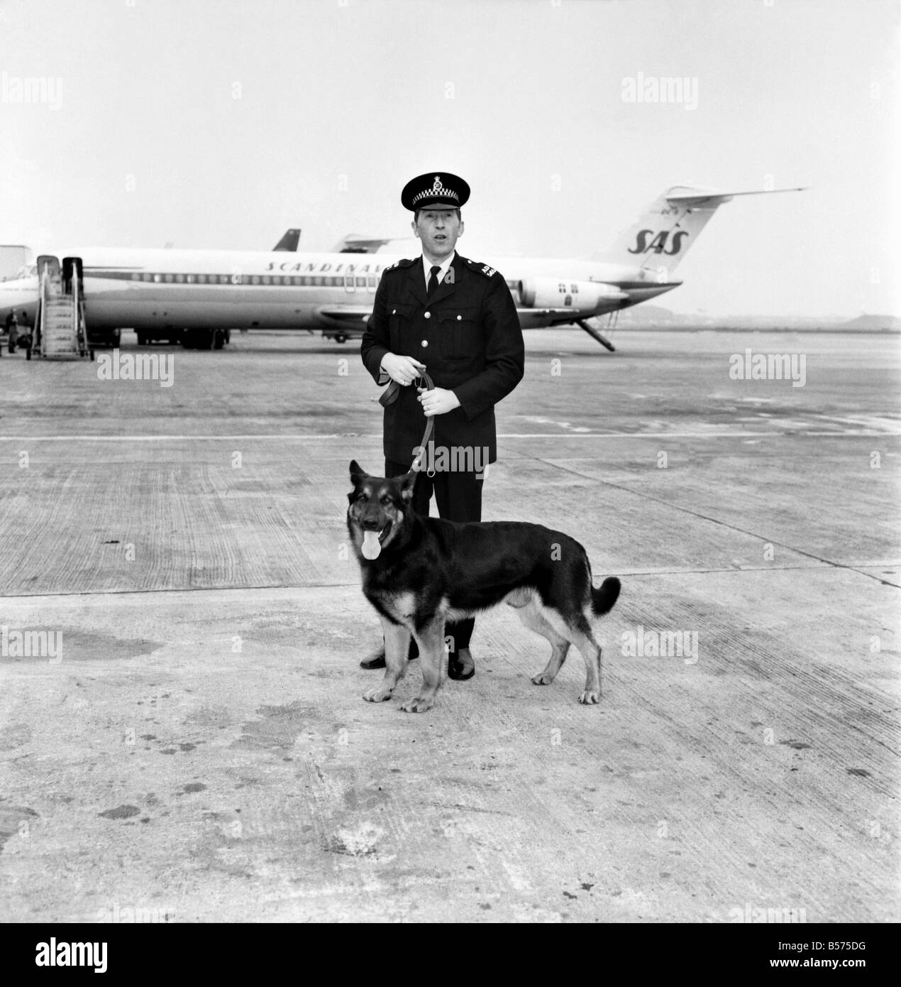 Peter Sutton High Resolution Stock Photography and Images - Alamy