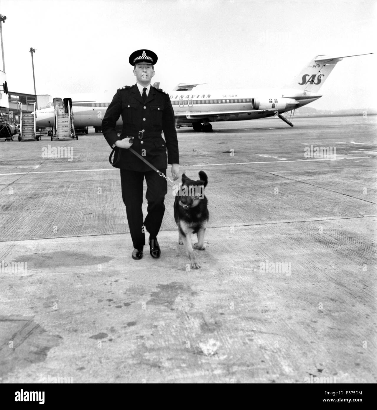 Peter sutton hi-res stock photography and images - Alamy