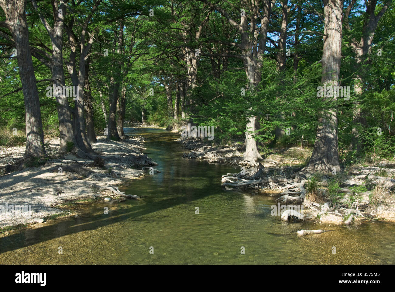 Texas Hill Country Bandera County Freeman Crossing Medina River Stock ...