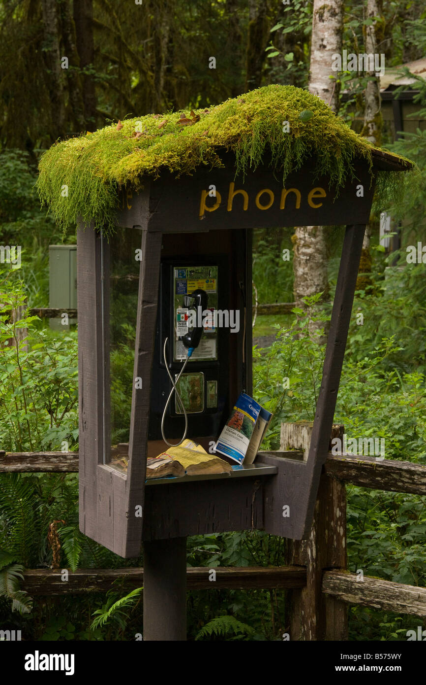 Moss covered phone box in the Hoh Valley high rainfall temperate rain ...