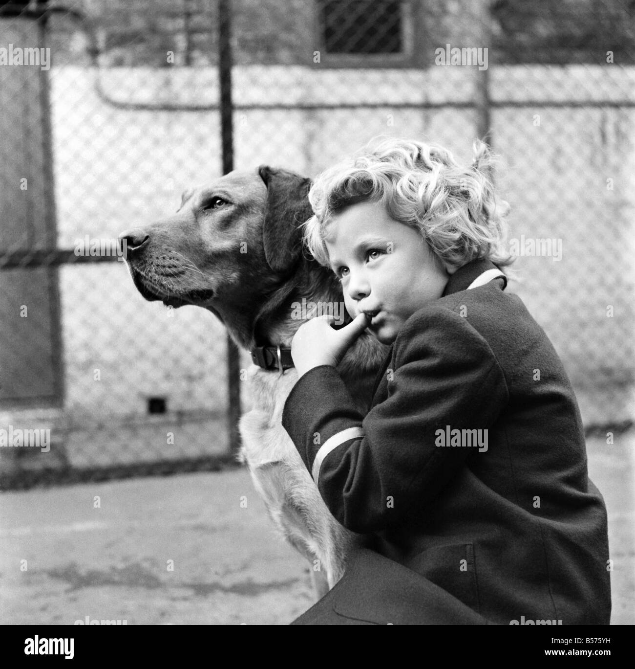 Reunited with lost dog hi-res stock photography and images - Alamy