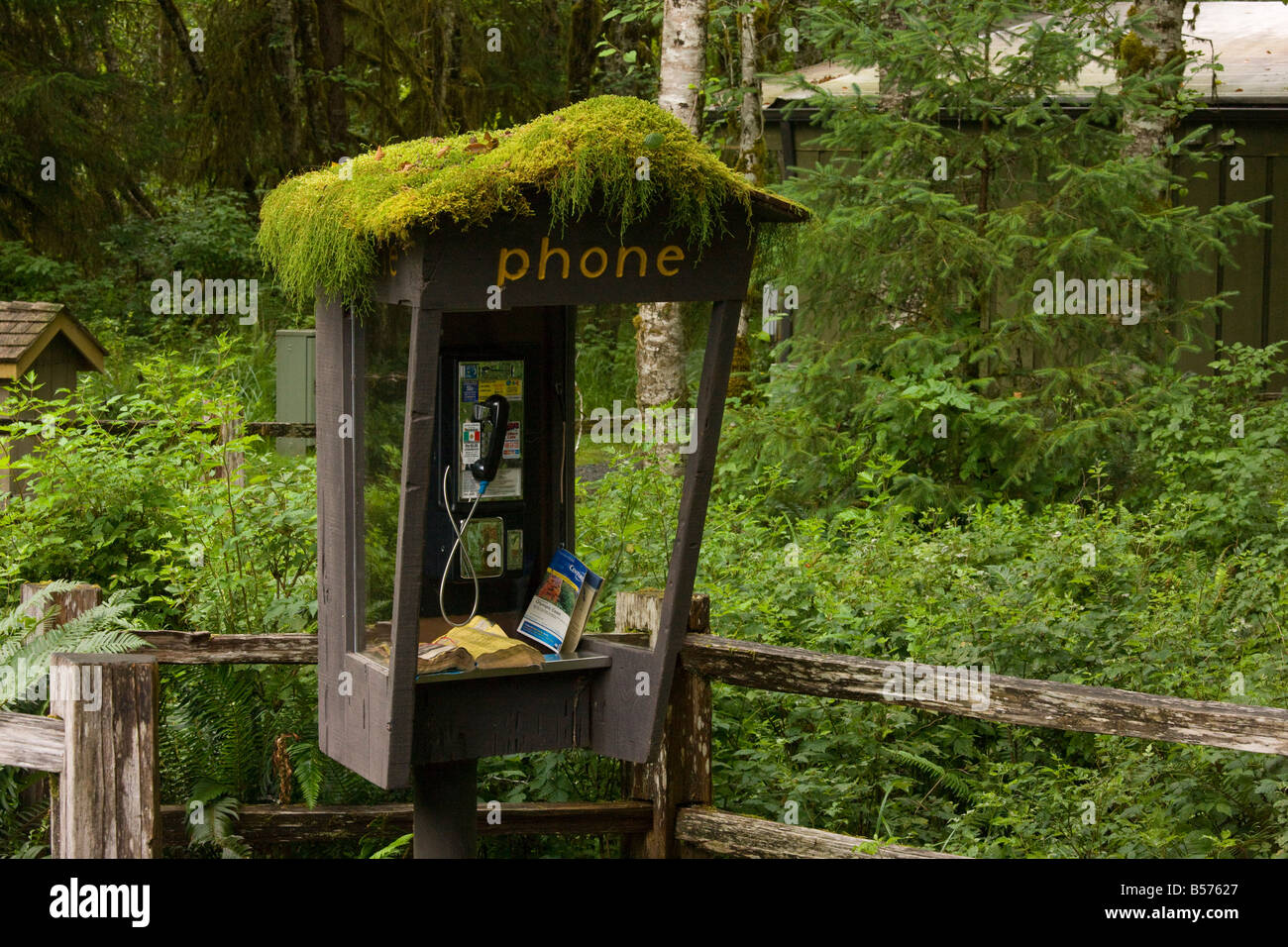 Moss covered phone box in the Hoh Valley high rainfall temperate rain ...
