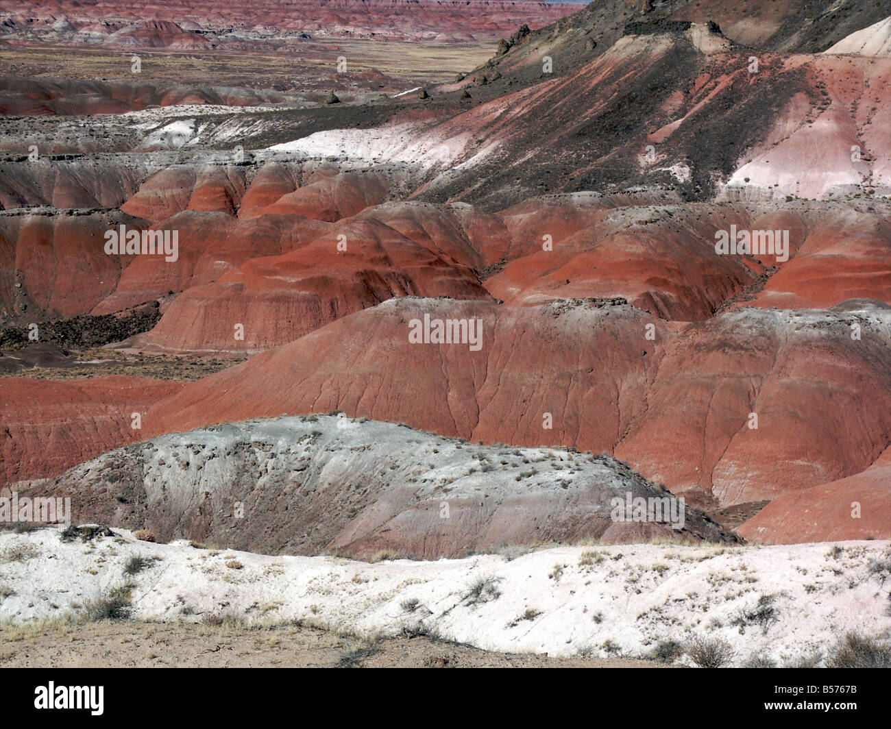 Red, white and grey layered rocks in Petrified Forest National Park ...