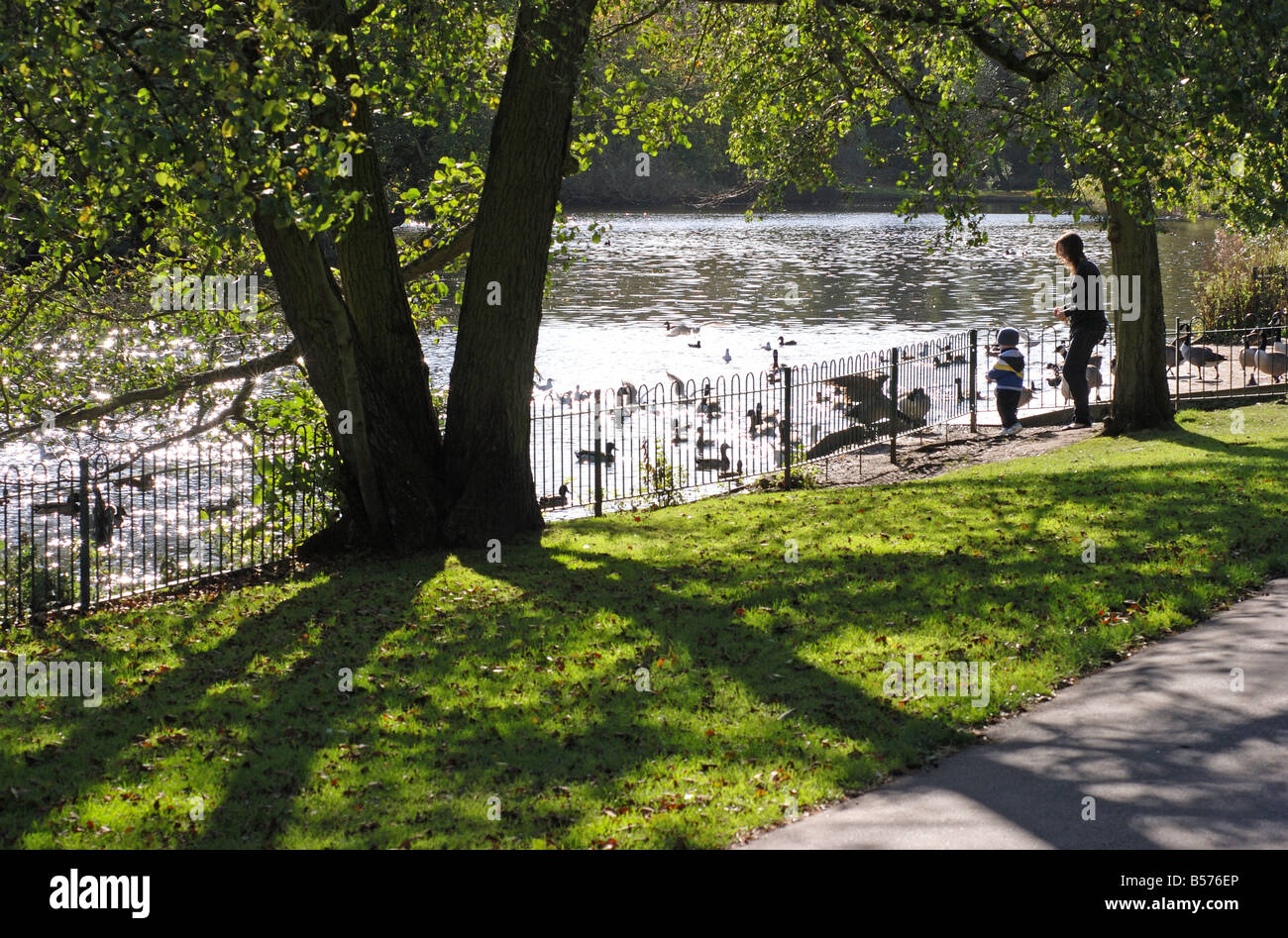 The Lake at Brueton Park, Solihull, West Midlands, England, UK Stock ...